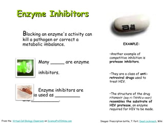 Enzymes-Cell-Biology-Lecture-PowerPoint-VCBC.ppt