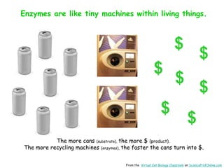 Enzymes-Cell-Biology-Lecture-PowerPoint-VCBC.ppt