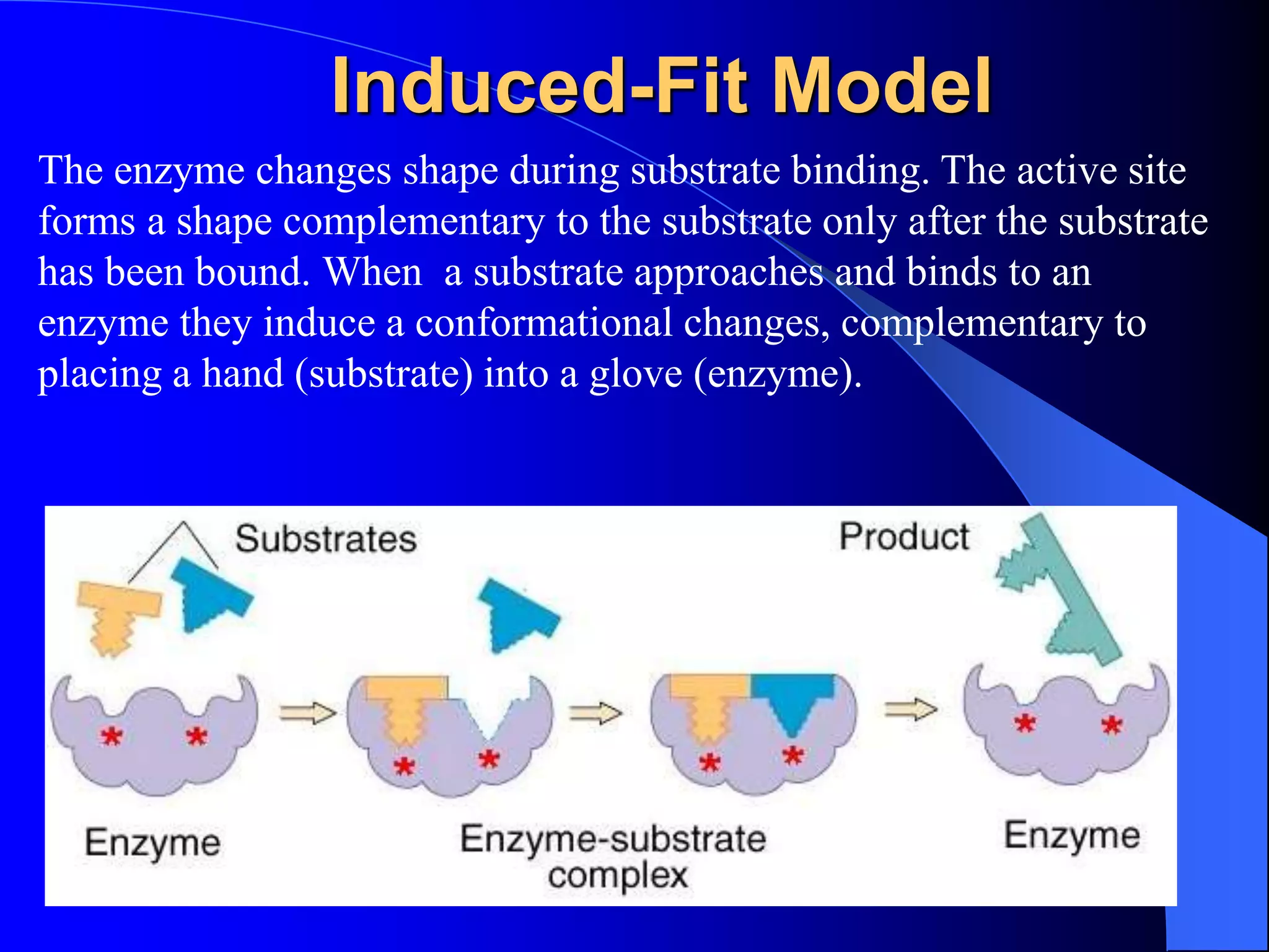 enzymes-classification-isoenzymes.ppt