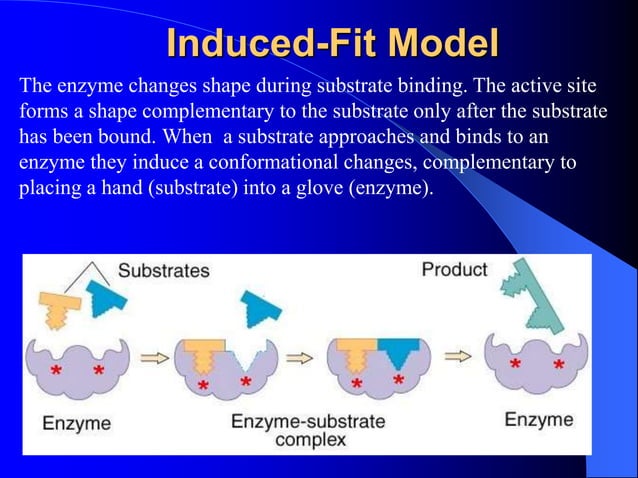 enzymes-classification-isoenzymes.ppt