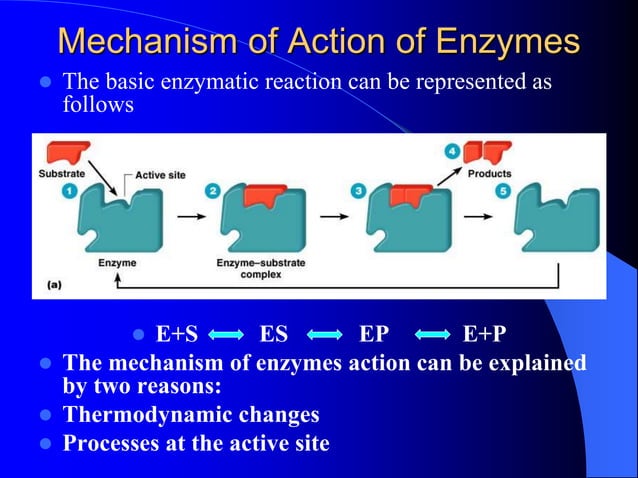enzymes-classification-isoenzymes.ppt