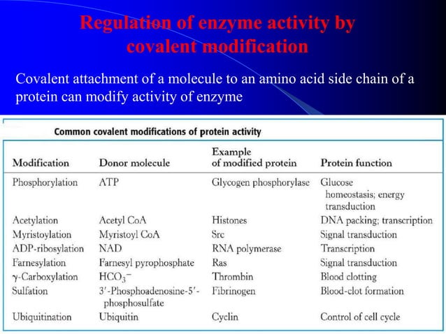 enzymes-classification-isoenzymes.ppt