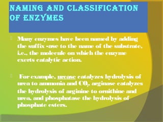 Enzymes classification of enzyme and -isoenzymes-1 | PPT