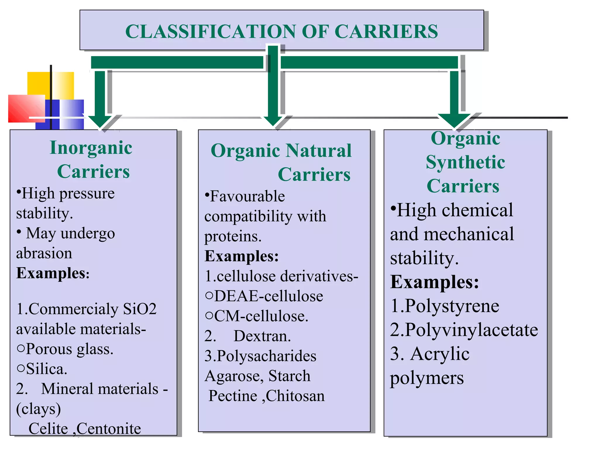 enzyme immobilization | PPT