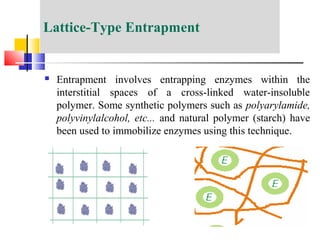 enzyme immobilization | PPT