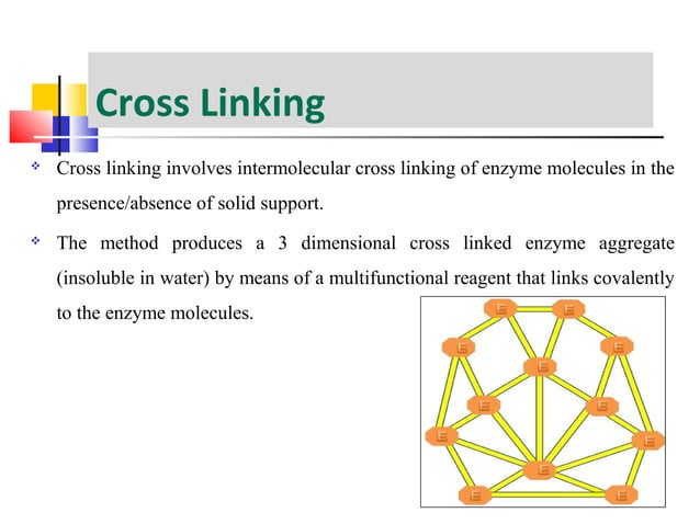 enzyme immobilization | PPT