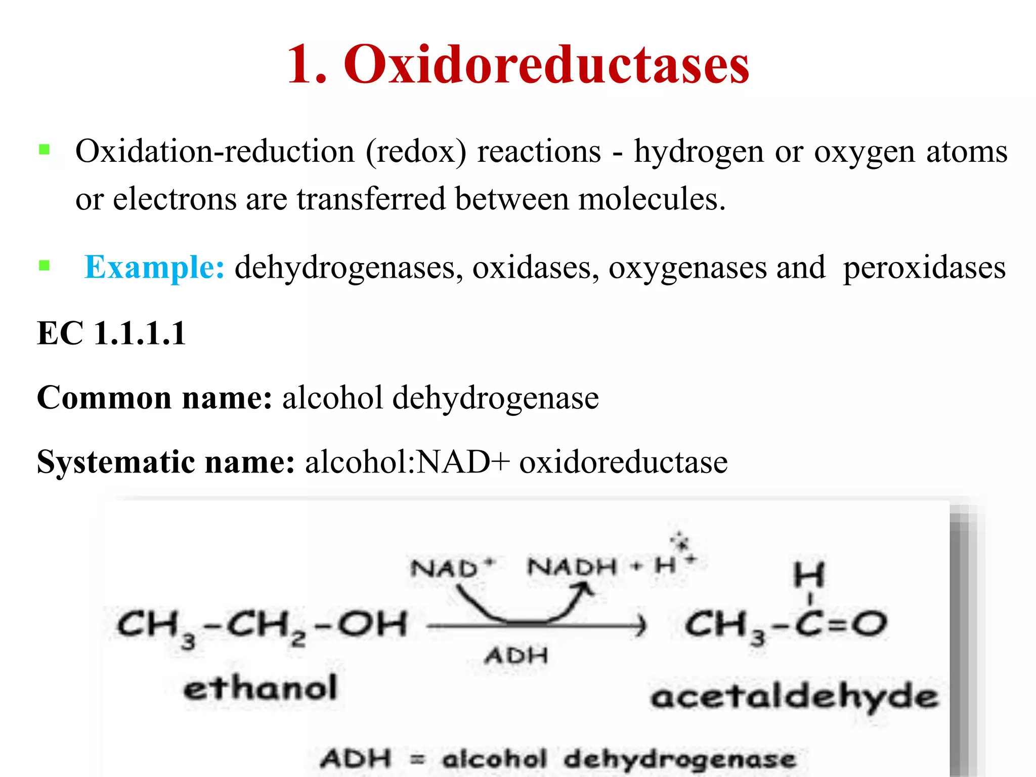 Enzymes definitions, types & classification | PPTX