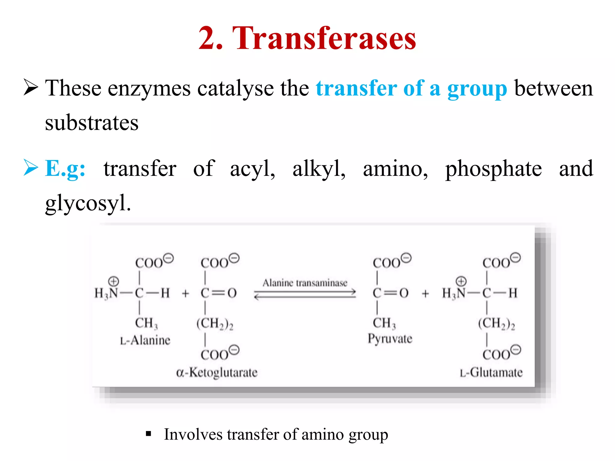 Enzymes definitions, types & classification | PPTX