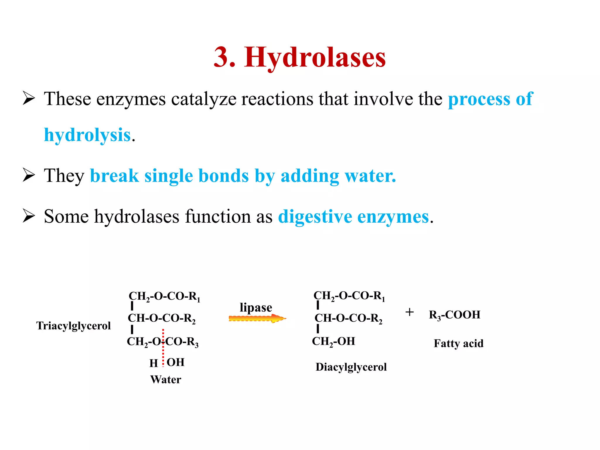 Enzymes definitions, types & classification | PPTX