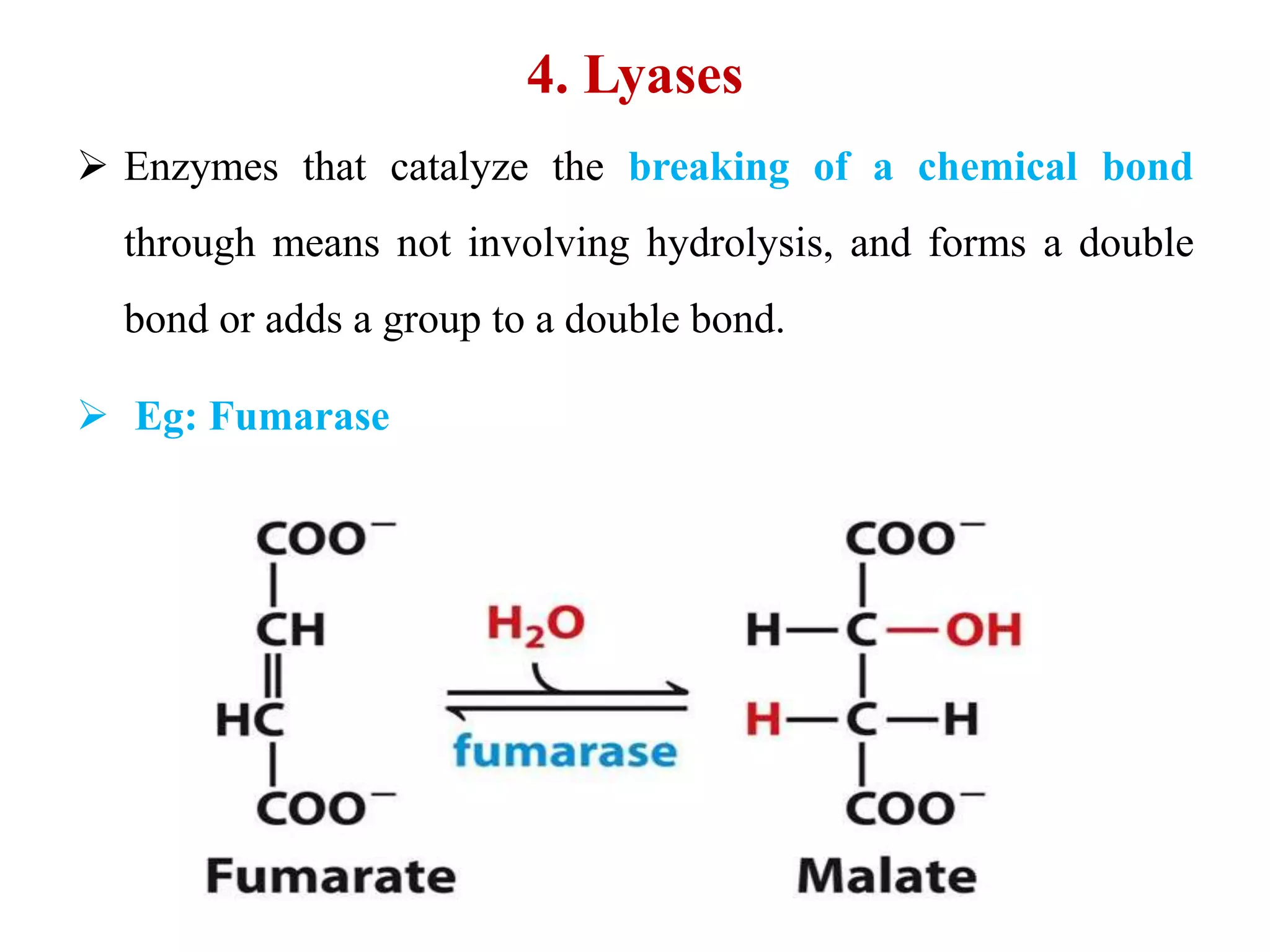 Enzymes definitions, types & classification | PPTX