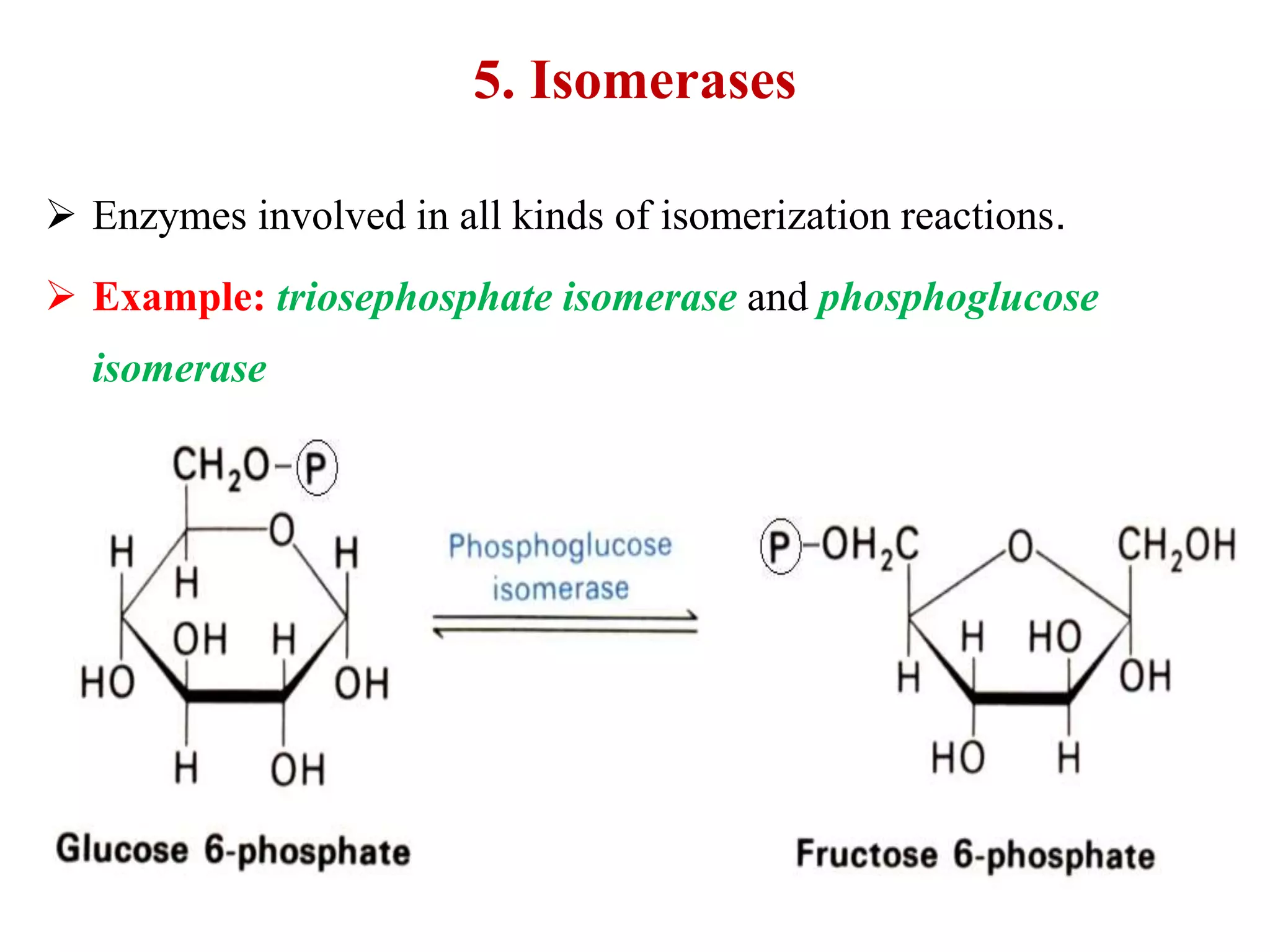 Enzymes definitions, types & classification | PPTX