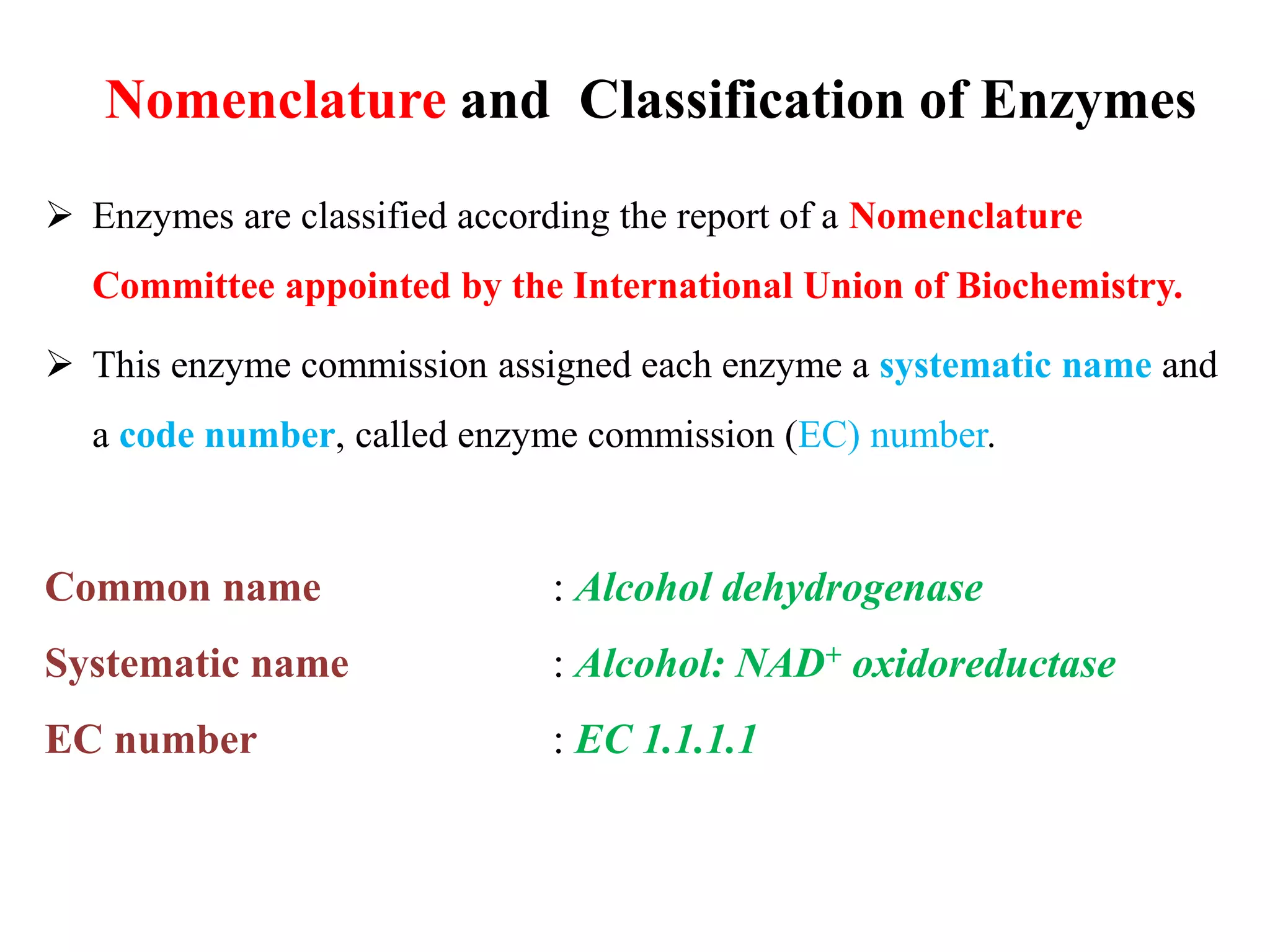 Enzymes definitions, types & classification | PPTX
