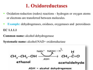 Enzymes definitions, types & classification | PPTX
