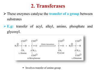 Enzymes definitions, types & classification | PPTX | Chemistry | Science
