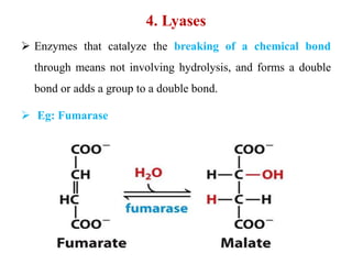 Enzymes definitions, types & classification | PPTX