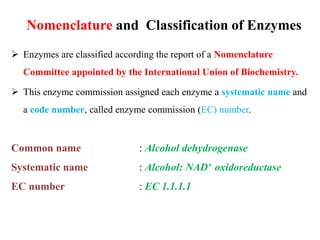 Enzymes definitions, types & classification | PPTX