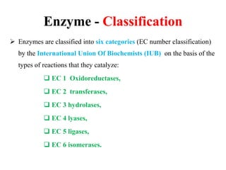 Enzymes definitions, types & classification | PPTX