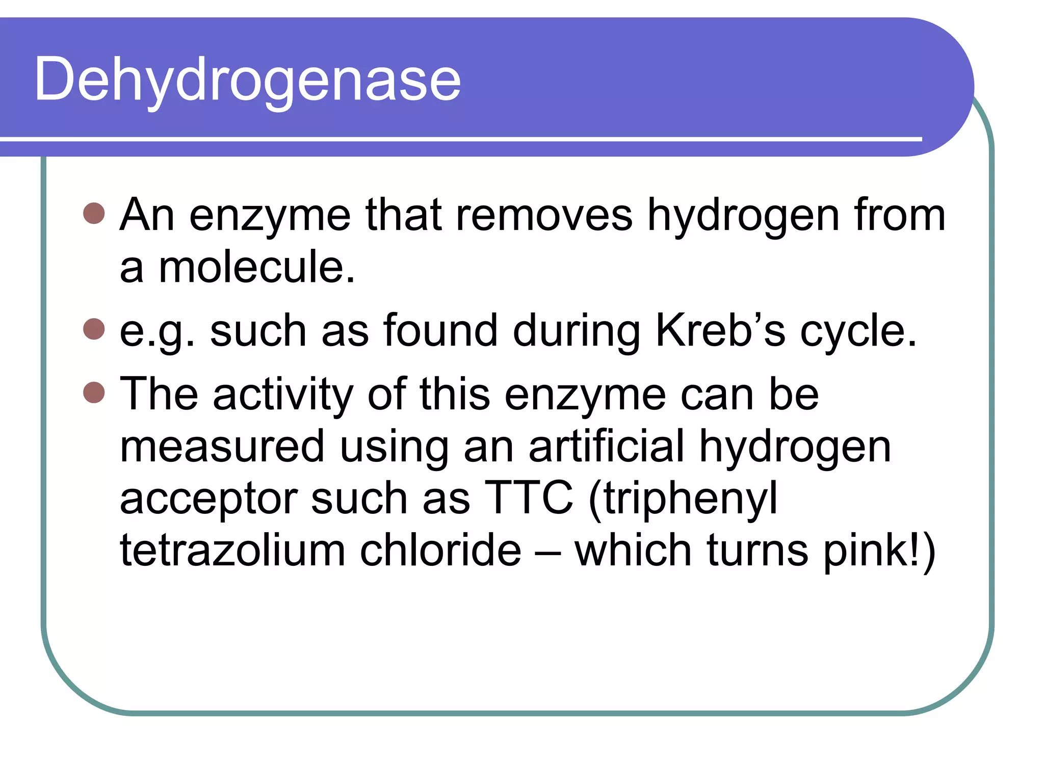 Enzymes In Respiration | PPT