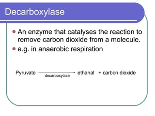 Enzymes In Respiration | PPT