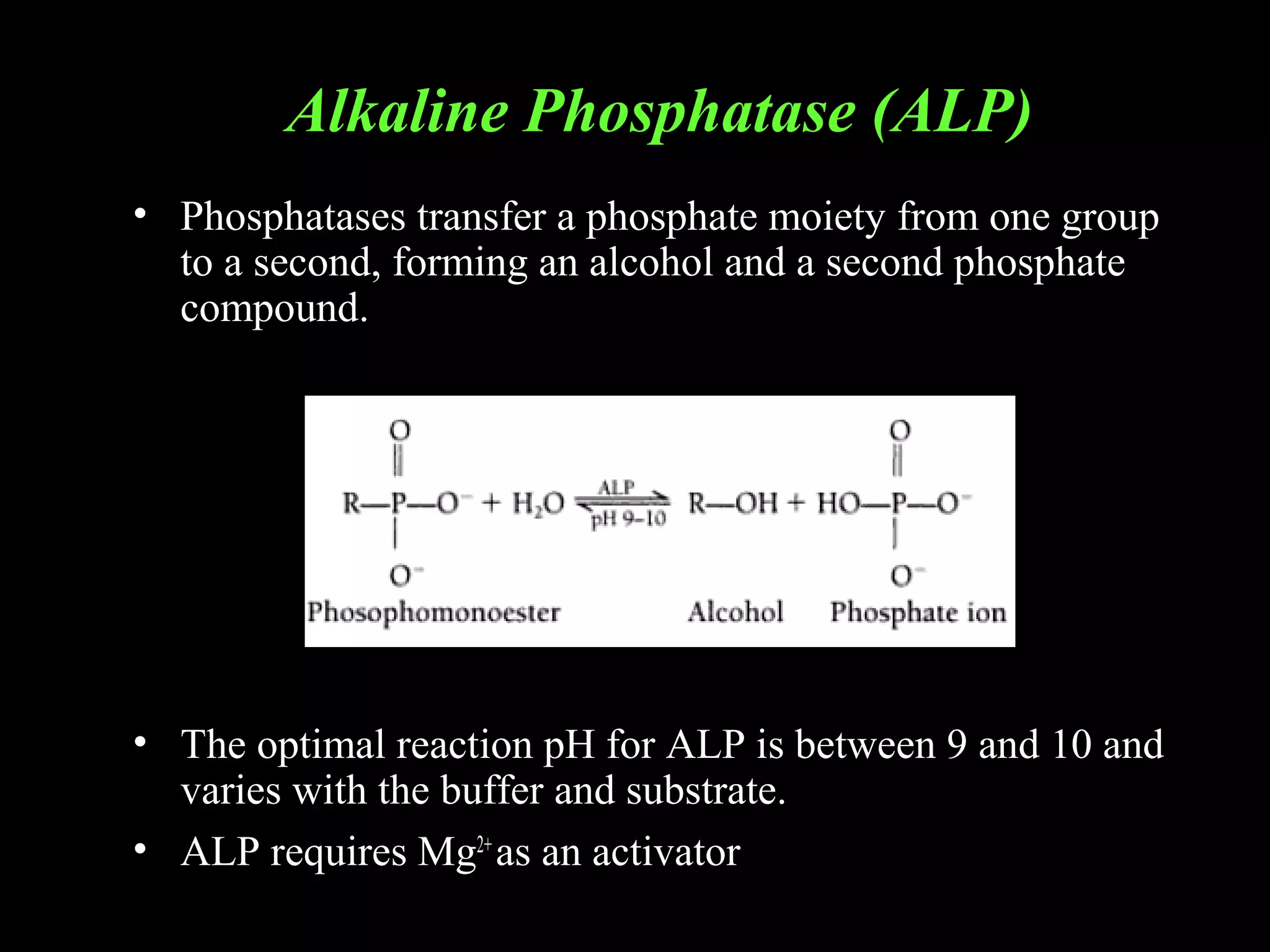 LIVER ENZYMES AST, ALT & ALP | PPT | Chemistry | Science