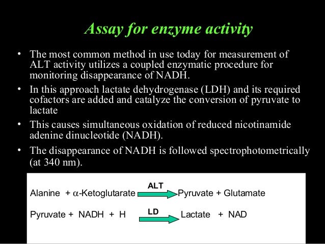 Ast Liver Enzyme
