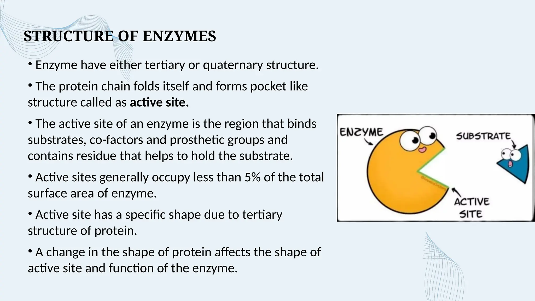 ENZYMES : Structure, Function and Classification | PPTX