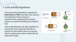 ENZYMES : Structure, Function and Classification | PPTX