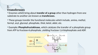 ENZYMES : Structure, Function and Classification | PPTX
