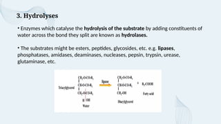 ENZYMES : Structure, Function and Classification | PPTX