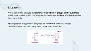ENZYMES : Structure, Function and Classification | PPTX