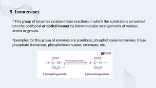 ENZYMES : Structure, Function and Classification | PPTX