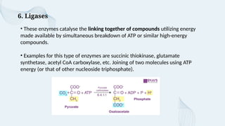 ENZYMES : Structure, Function and Classification | PPTX