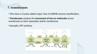 ENZYMES : Structure, Function and Classification | PPTX