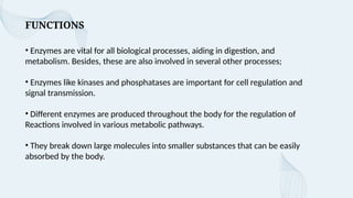 ENZYMES : Structure, Function and Classification | PPTX