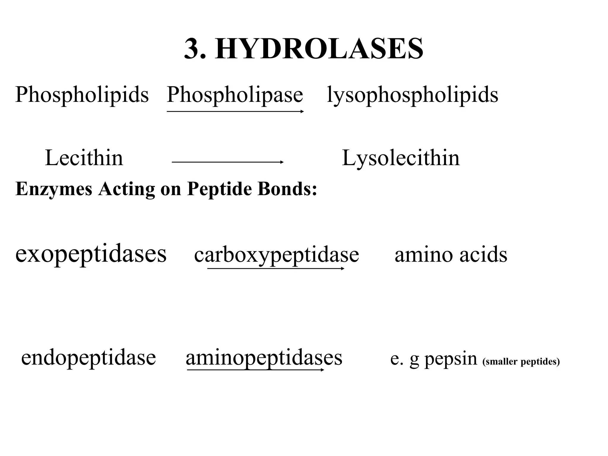 enzymes-introsuction nomenclature, classification.ppt