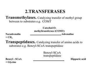 enzymes-introsuction nomenclature, classification.ppt