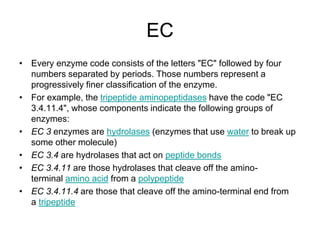enzymes-introsuction nomenclature, classification.ppt