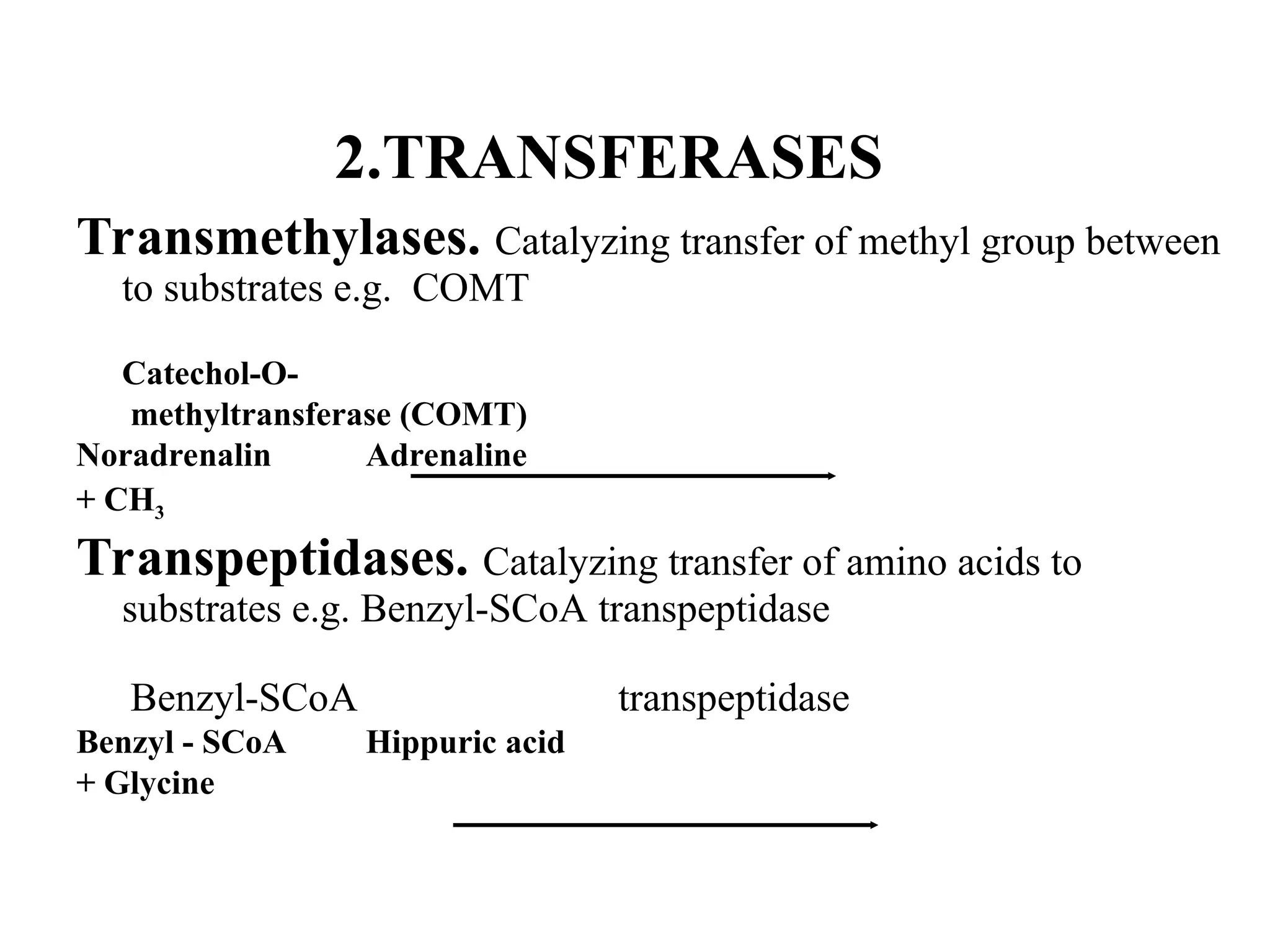enzymes-nomenclature and classification.ppt
