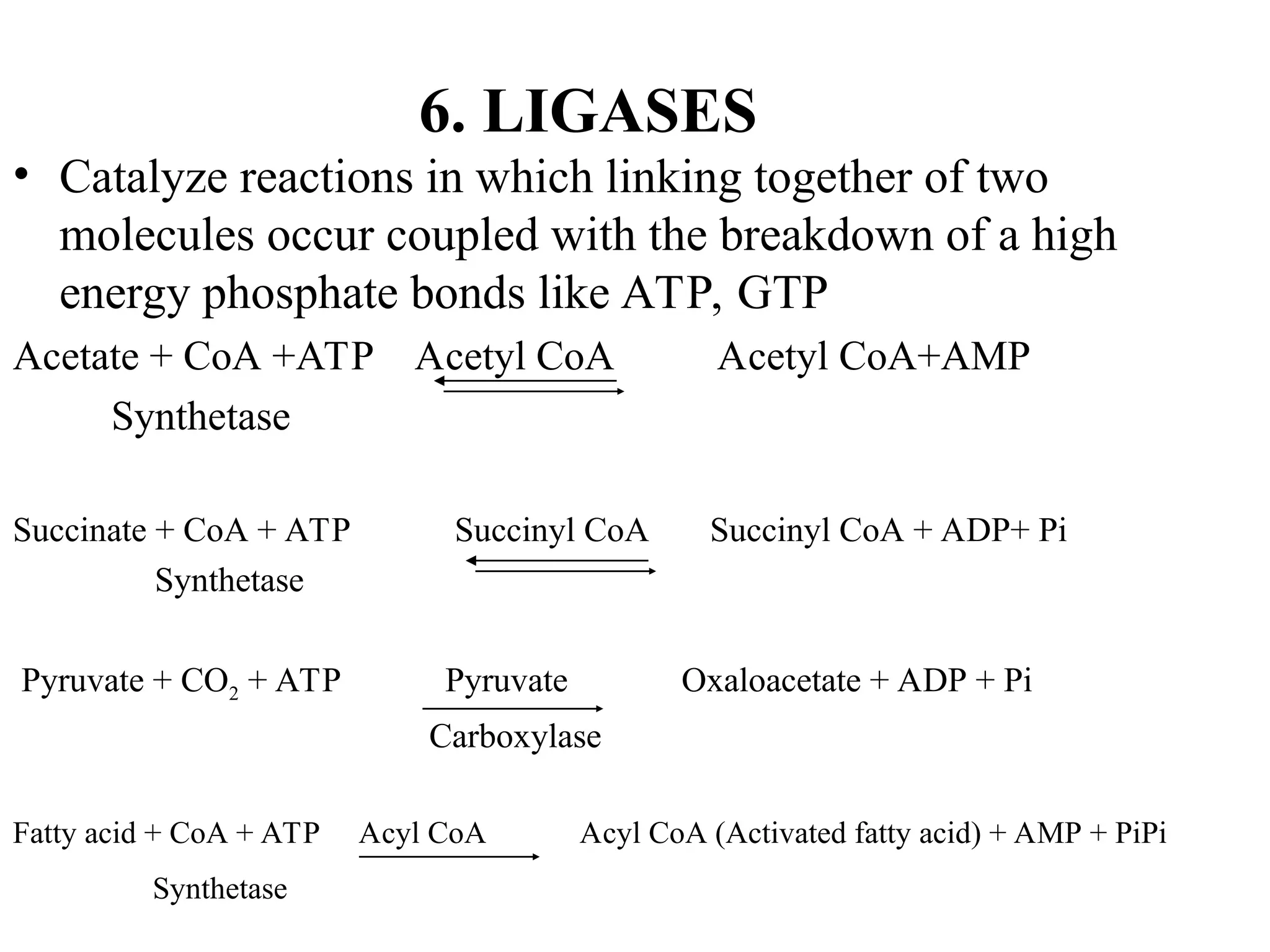 enzymes-nomenclature and classification.ppt