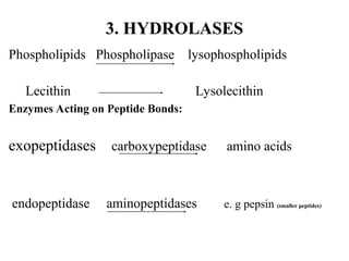 enzymes-nomenclature and classification.ppt