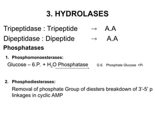 enzymes-nomenclature and classification.ppt