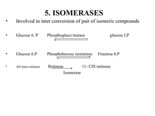 enzymes-nomenclature and classification.ppt