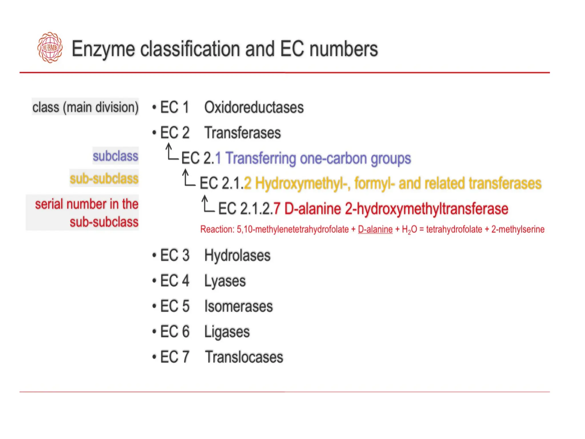 enzymes-nomenclature and classification.ppt