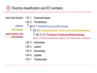 enzymes-nomenclature and classification.ppt