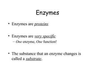 Enzymes introduction and it's application-pp.ppt