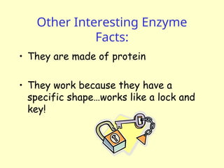 Enzymes introduction and it's application-pp.ppt