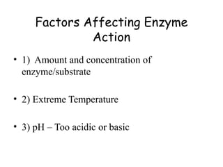 AN Enzymes-pp CSEC BIOLOGY NOTES(1).pptx