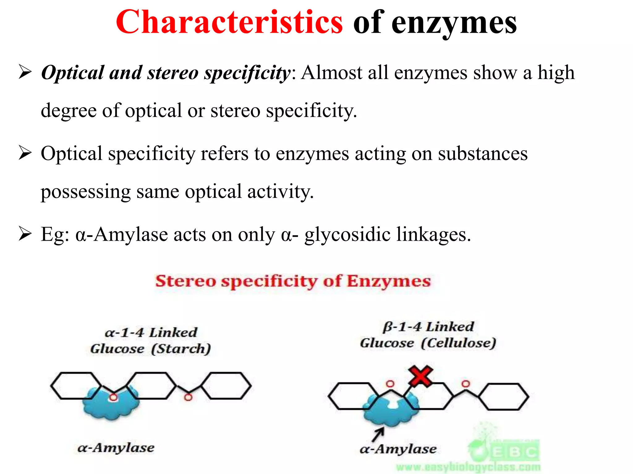 Enzymes properties, nomenclature and classification | PPTX