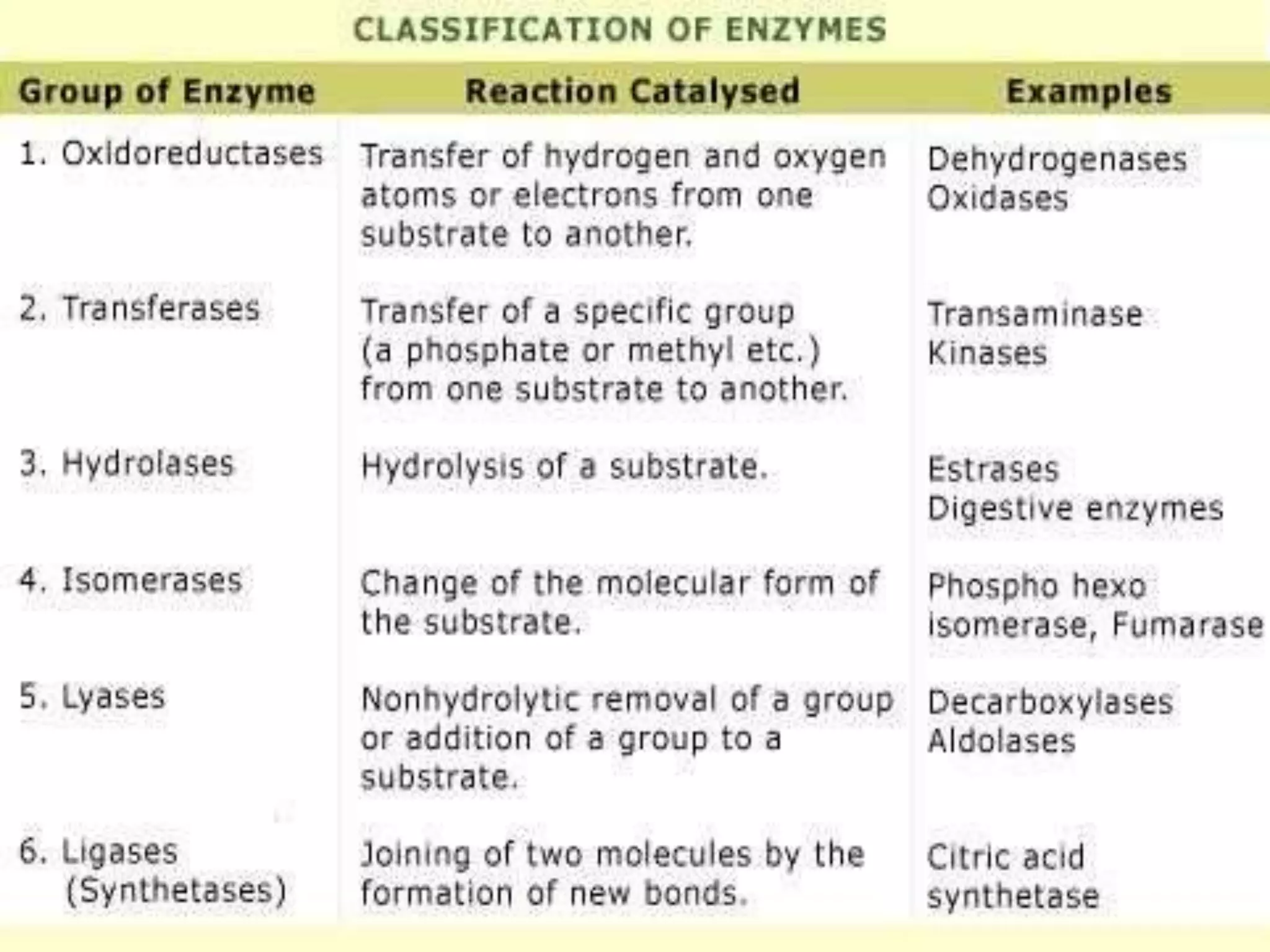 Enzymes properties, nomenclature and classification | PPTX