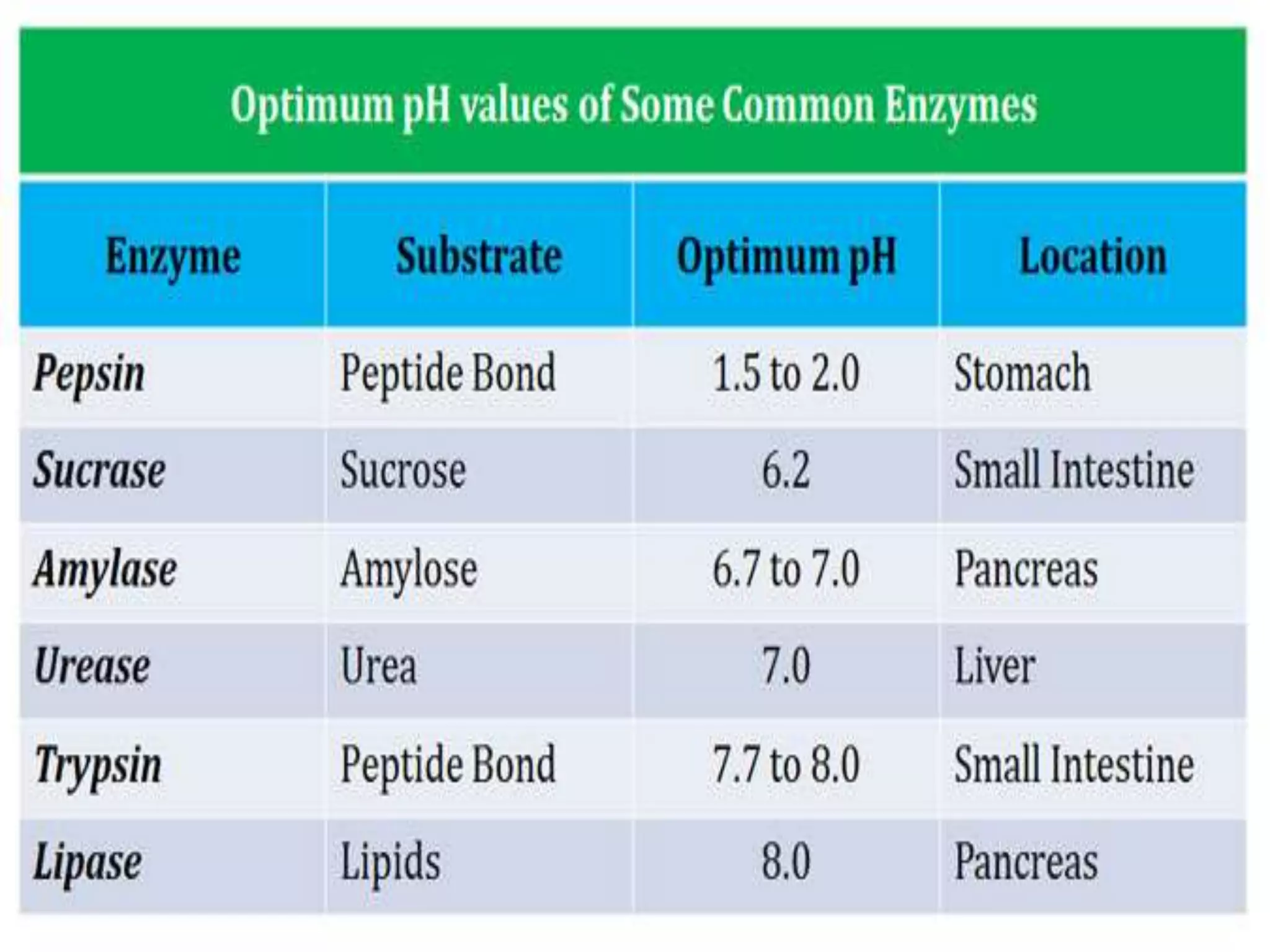 Enzymes properties, nomenclature and classification | PPTX